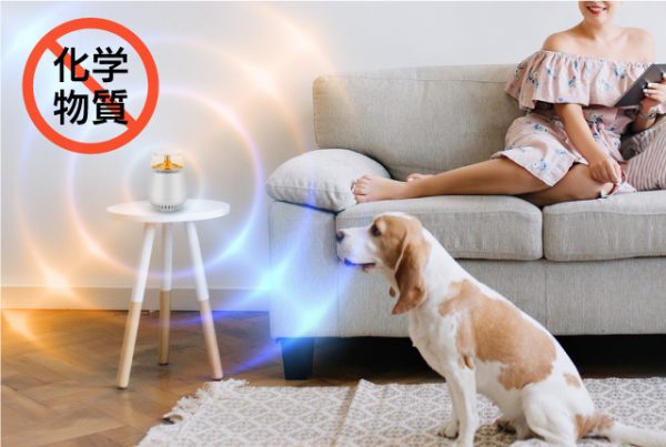 夏日防蟲法寶，「他」最無毒又有效！ - SearchingC